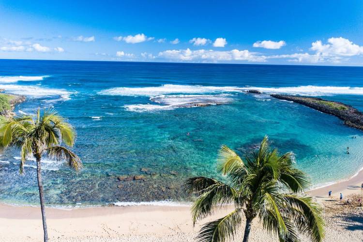 Turtle Bay Resort Activities In Oahu | Oceanfront Vacation Villas